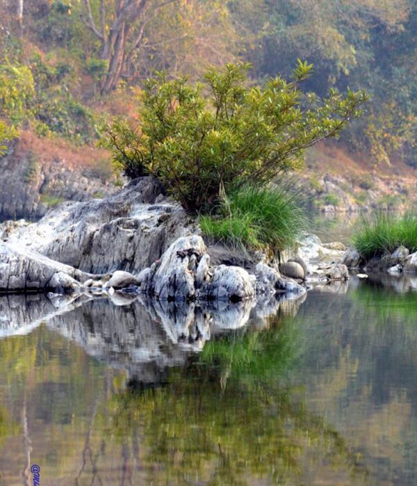 Discover Nagaland – Nagaland Tourism, Government of Nagaland